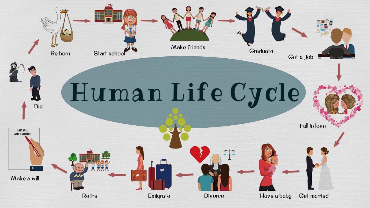 “Sign of the Times” / “Cycle of Life" - Ogilvie Financial Solutions Ltd